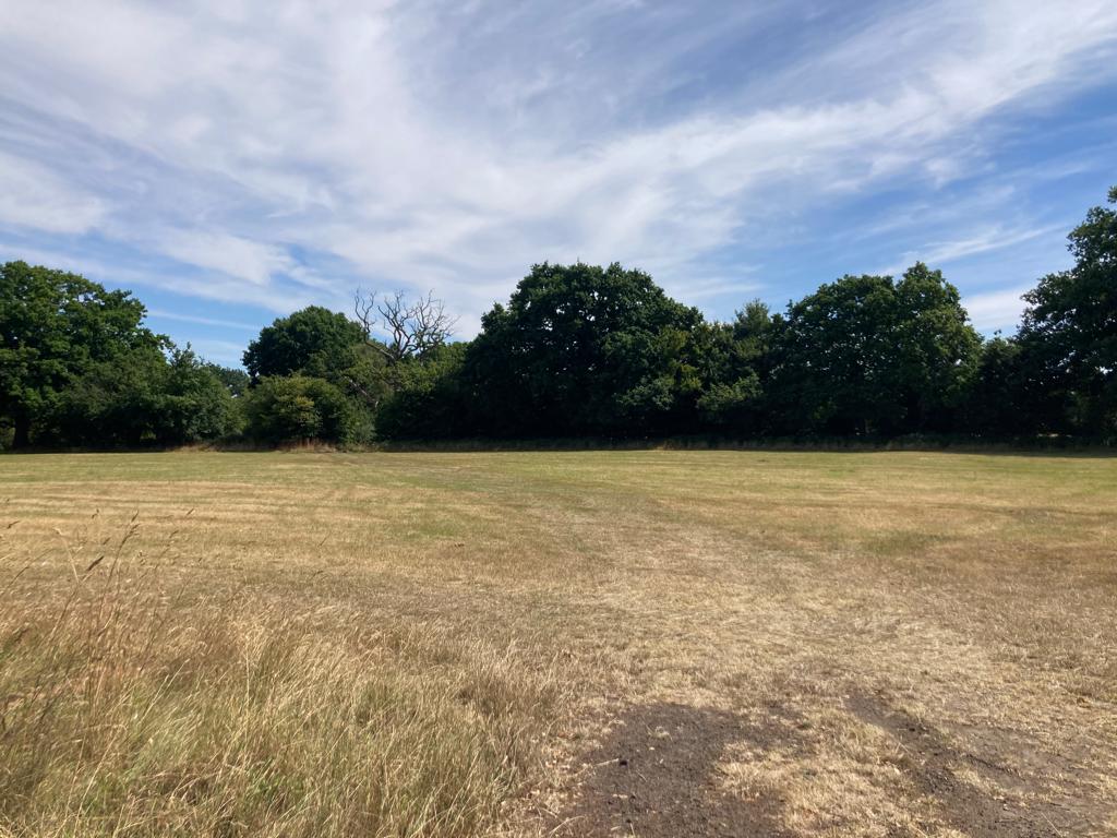 Gallery – Save Our Blagrove Countryside 2024